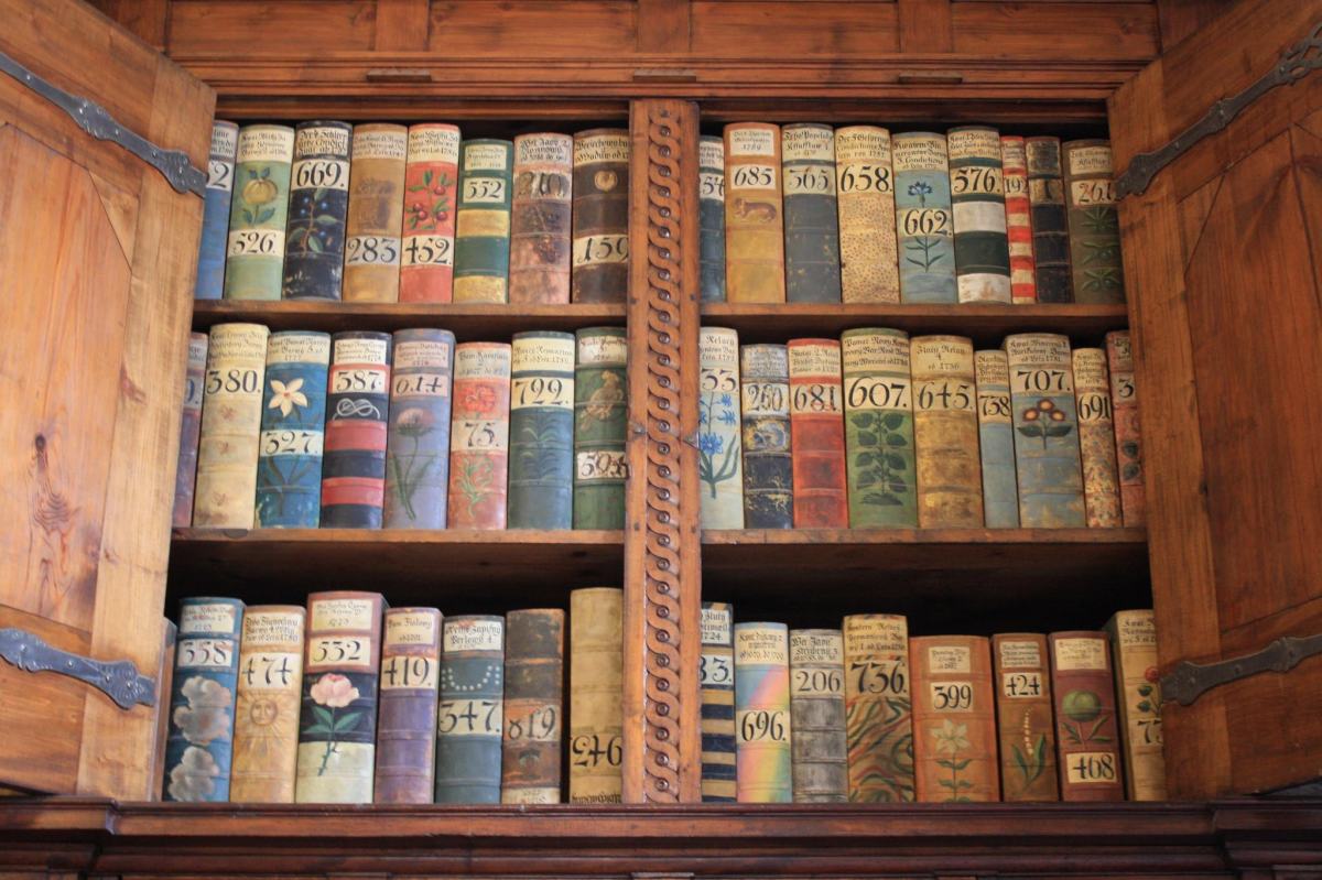 Contact – Holly A. Crocker